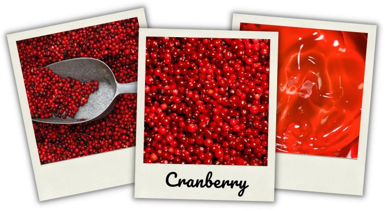 30 Christmas Colors: What They Represent & Origins