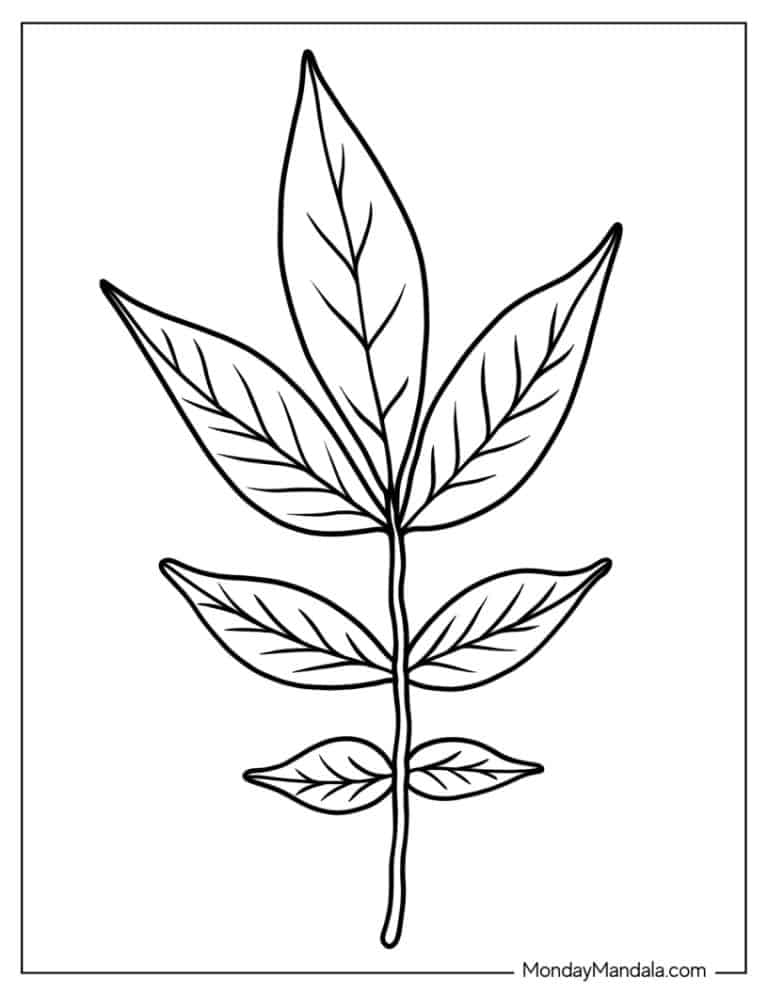 34 Leaf Coloring Pages (Free PDF Printables)