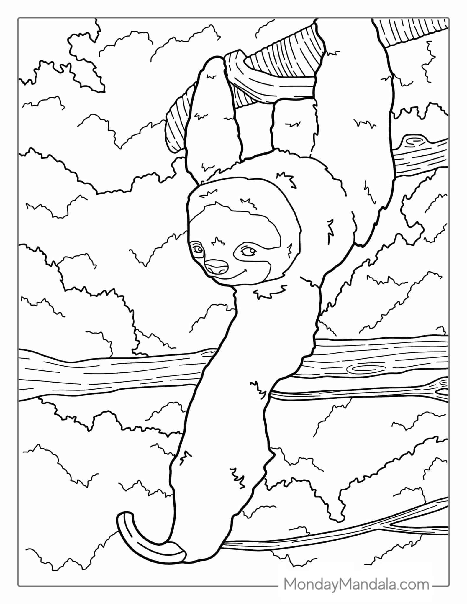 32 Sloth Coloring Pages (Free PDF Printables)