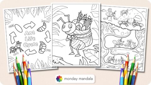 20 Ant Coloring Pages (Free PDF Printables)