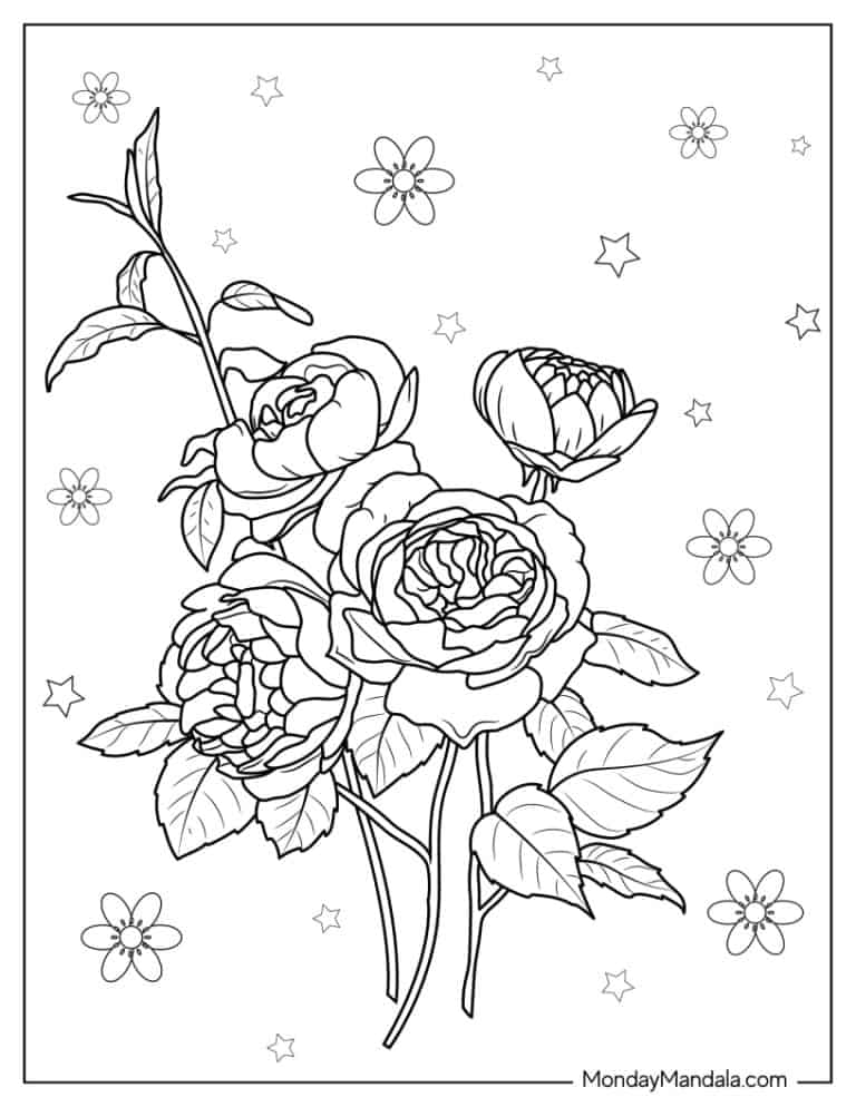 20 Rose Coloring Pages (Free PDF Printables)
