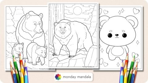 30 Bear Coloring Pages (Free PDF Printables)