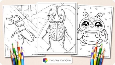 20 Beetle Coloring Pages (Free PDF Printables)