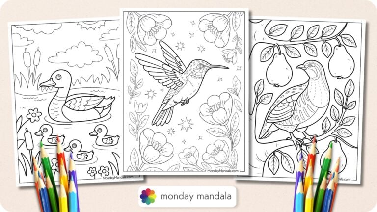 50 Bird Coloring Pages (Free PDF Printables)