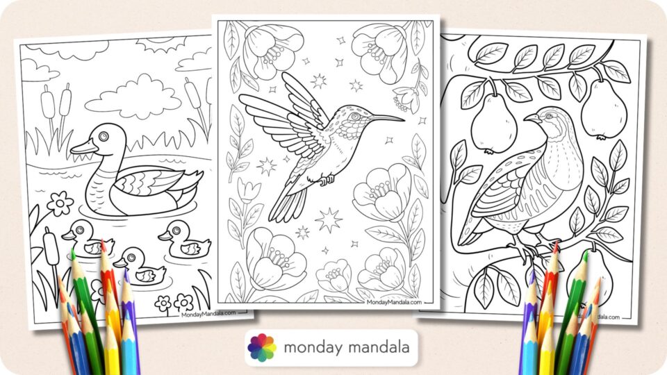 50 Bird Coloring Pages (Free PDF Printables)