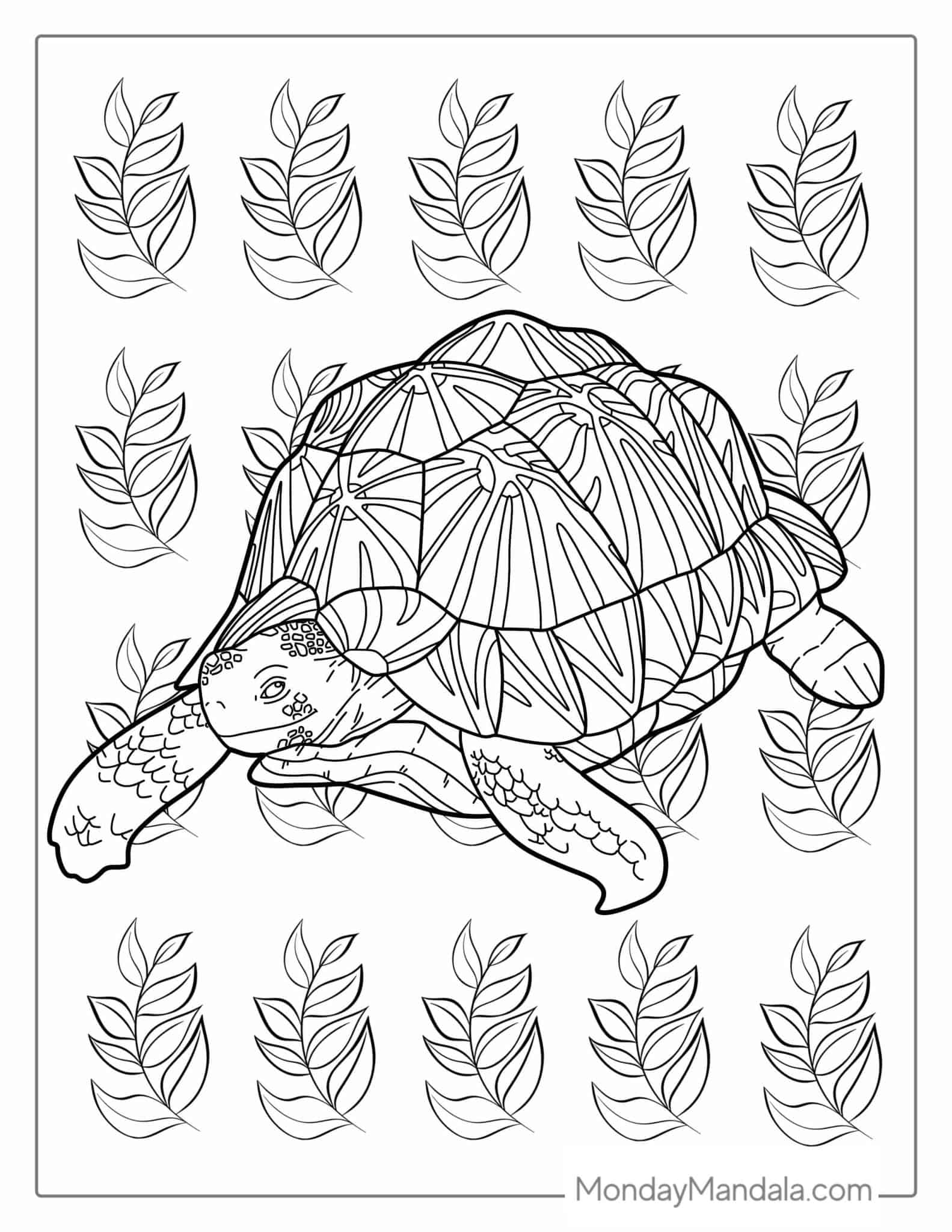 39 Turtle Coloring Pages (Free PDF Printables)