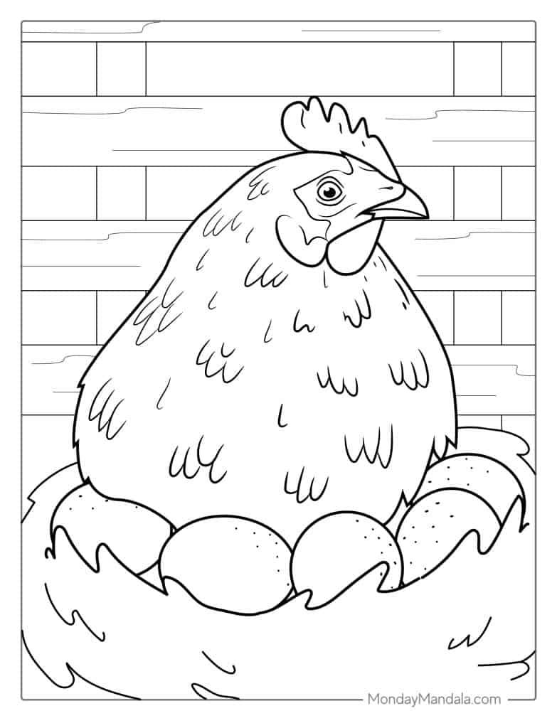 Chicken Colouring Printable Chicken Colouring Printable