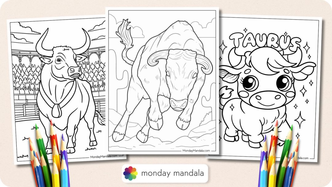 33 Bull Coloring Pages (Free PDF Printables)