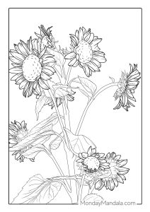 59 Sunflower Coloring Pages (Free PDF Printables)