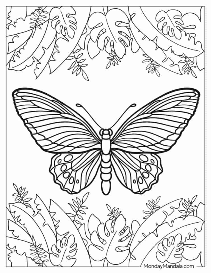 62 Butterfly Coloring Pages (Free PDF Printables)