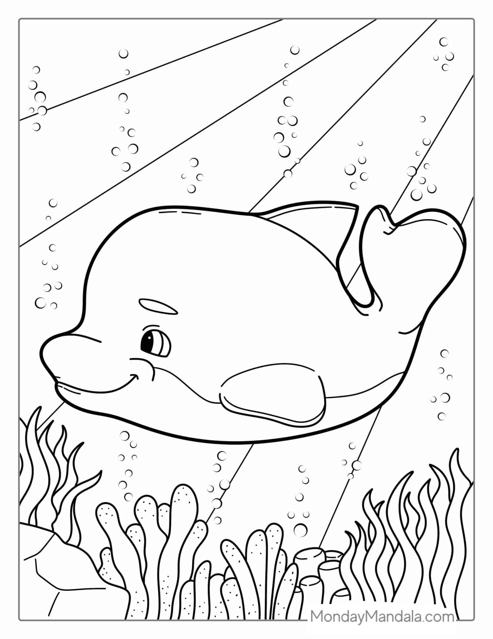 34 Dolphin Coloring Pages (Free PDF Printables)