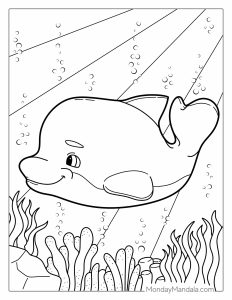 34 Dolphin Coloring Pages (Free PDF Printables)