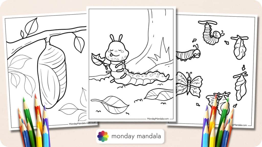 20 Caterpillar Coloring Pages (Free PDF Printables)