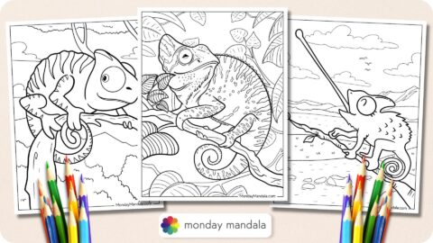 20 Chameleon Coloring Pages (Free PDF Printables)