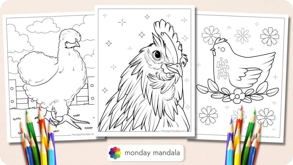 30 Chicken Coloring Pages (Free PDF Printables)