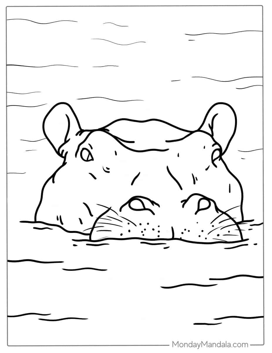 22 Hippo Coloring Pages (Free PDF Printables)