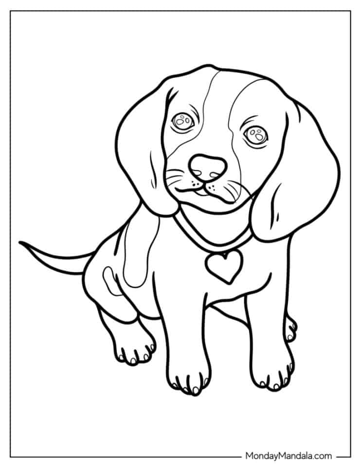 32 Puppy Coloring Pages (Free PDF Printables)