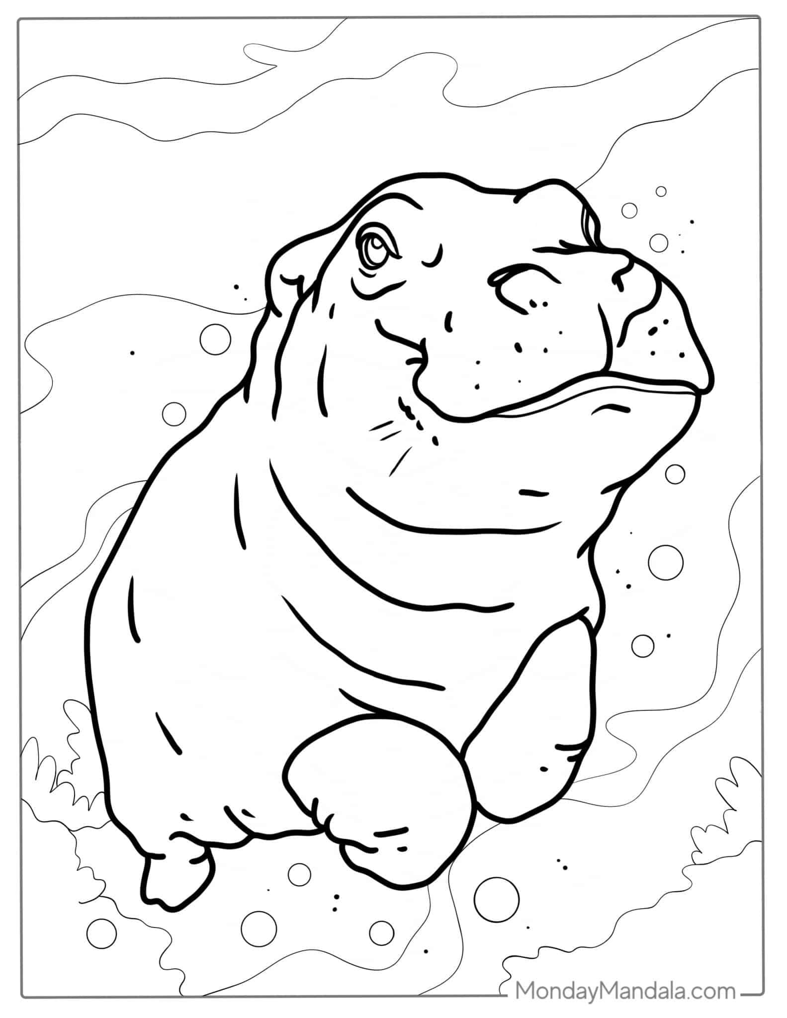 22 Hippo Coloring Pages (Free PDF Printables)