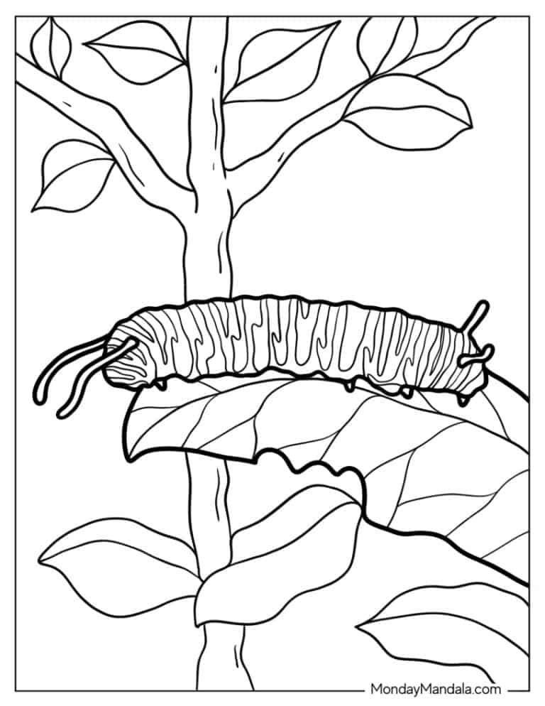 20 Caterpillar Coloring Pages (Free PDF Printables)