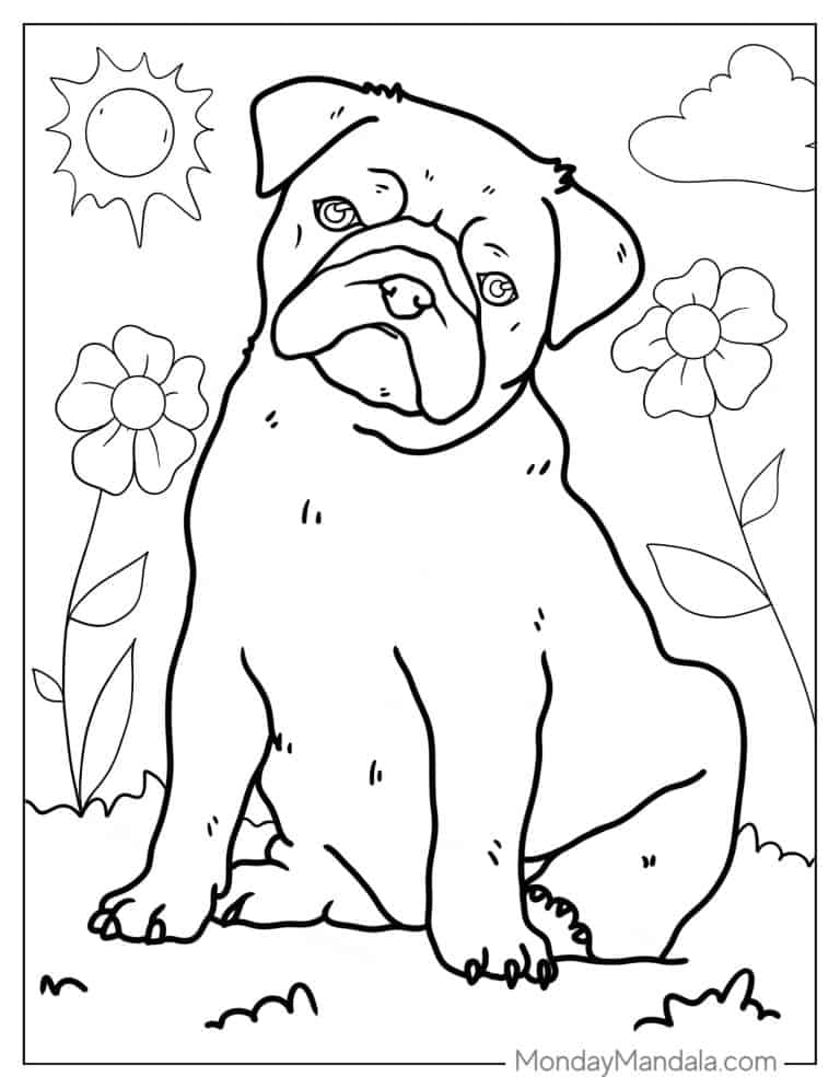 43 Pug Coloring Pages (Free PDF Printables)