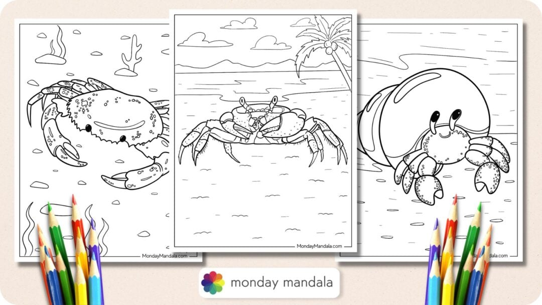 20 Crab Coloring Pages (Free PDF Printables)