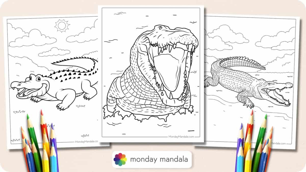 38 Crocodile Coloring Pages (Free PDF Printables)