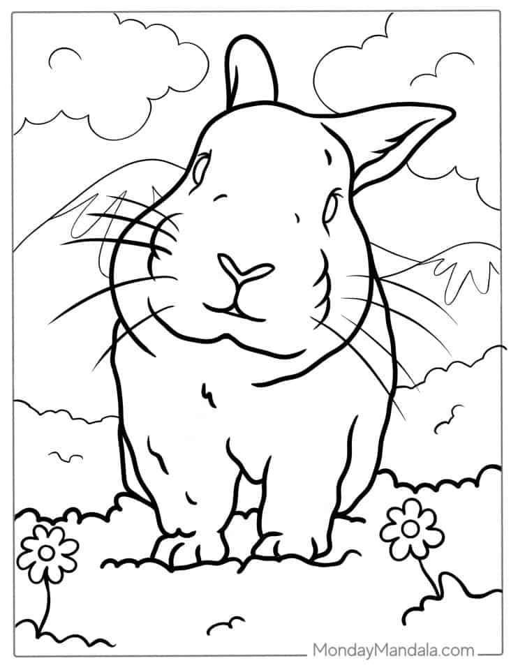 44 Rabbit Coloring Pages (Free PDF Printables)
