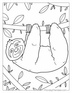 20 Sloth Coloring Pages (Free PDF Printables)