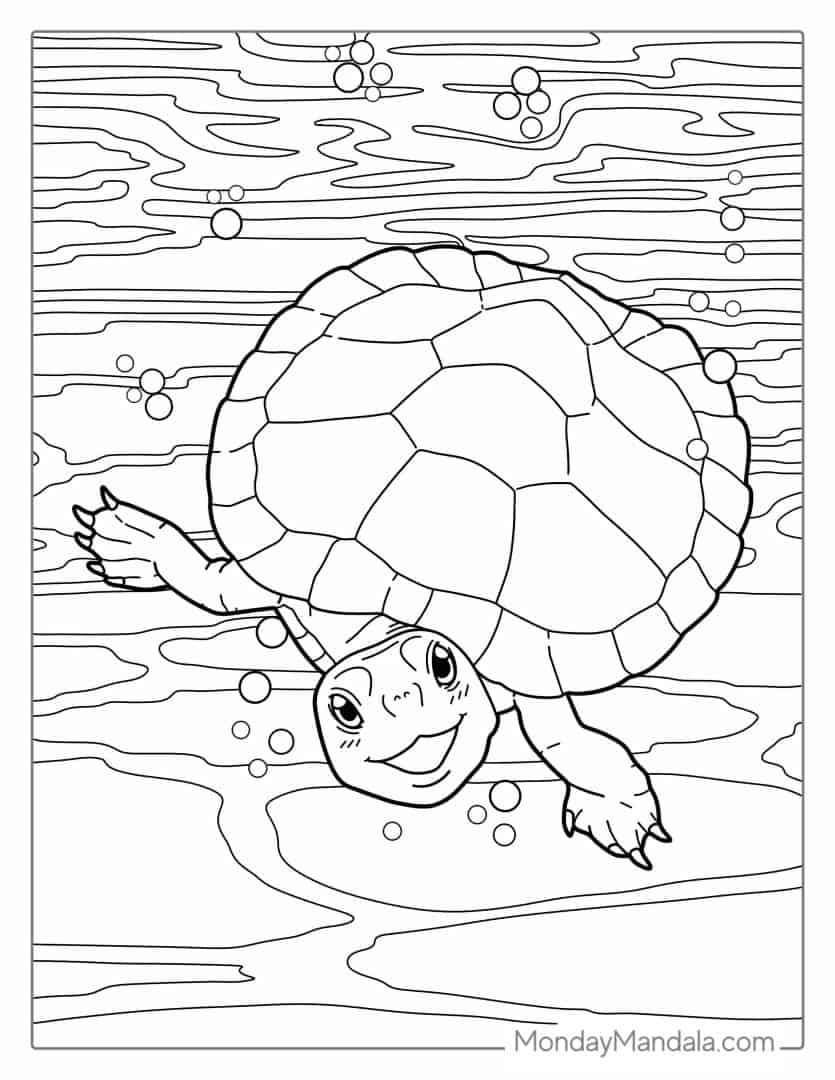 39 Turtle Coloring Pages (Free PDF Printables)