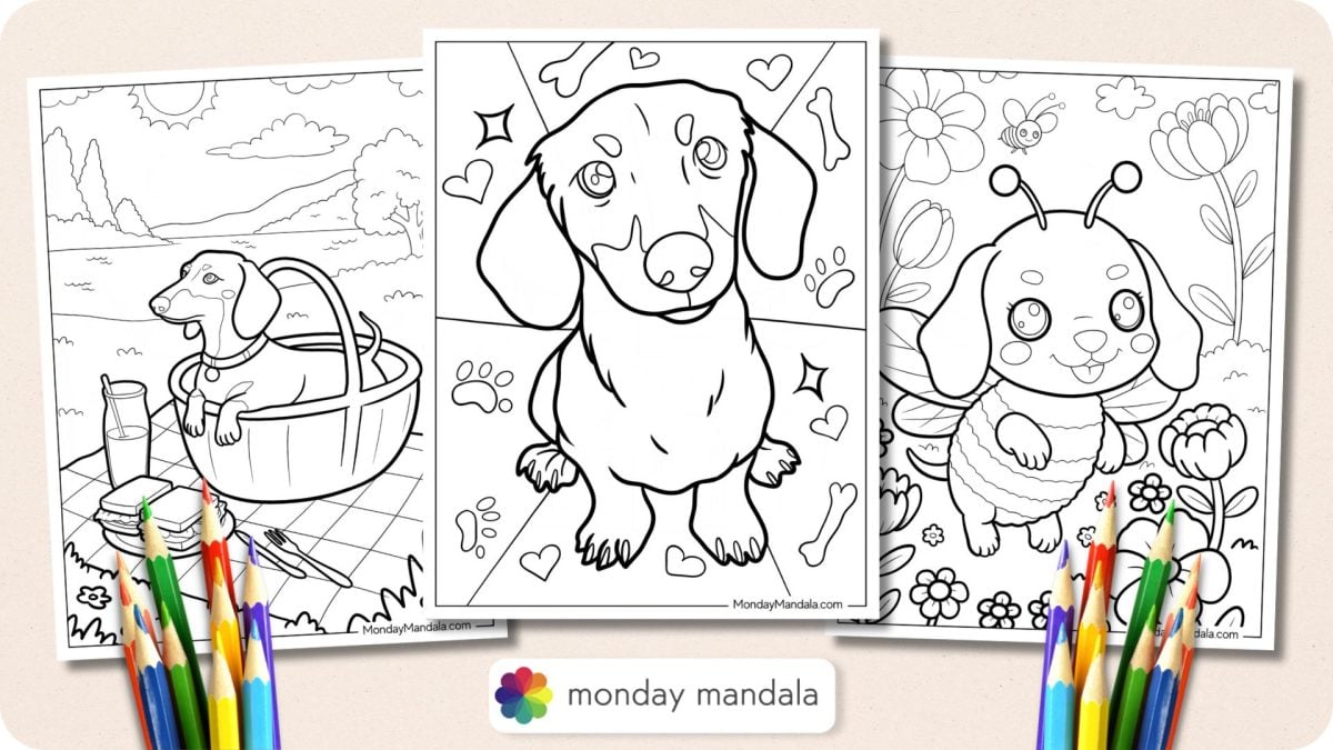 32 Dachshund Coloring Pages (Free PDF Printables)