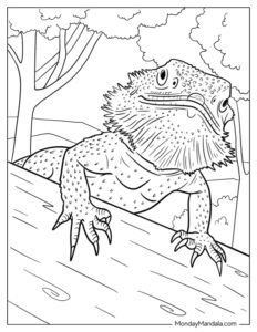 18 Bearded Dragon Coloring Pages (Free PDF Printables)