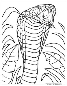 40 Snake Coloring Pages (Free PDF Printables)
