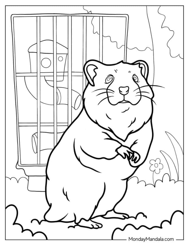 35 Hamster Coloring Pages (Free PDF Printables)