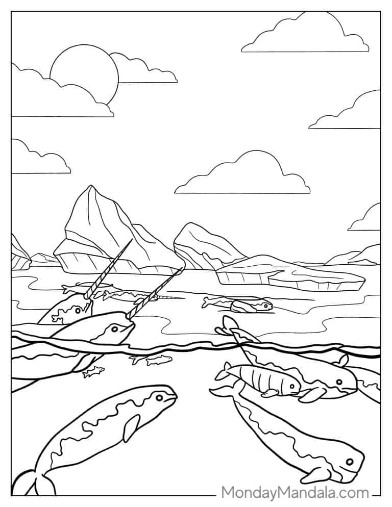 20 Narwhal Coloring Pages (Free PDF Printables)