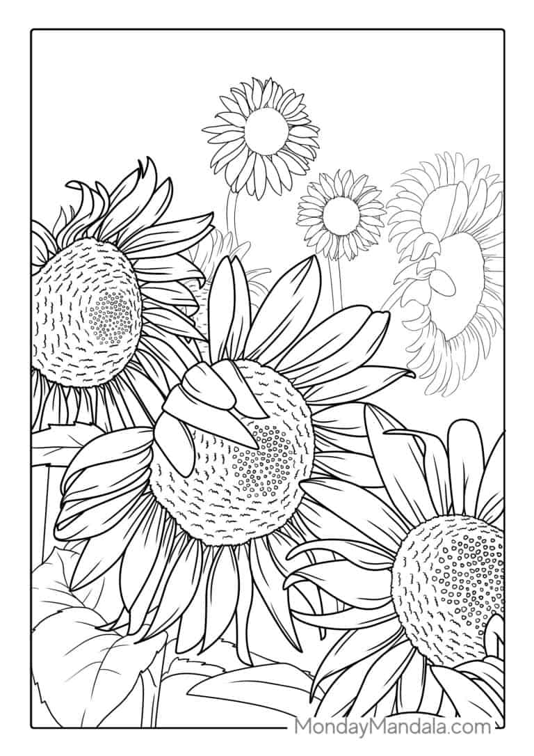 59 Sunflower Coloring Pages (Free PDF Printables)