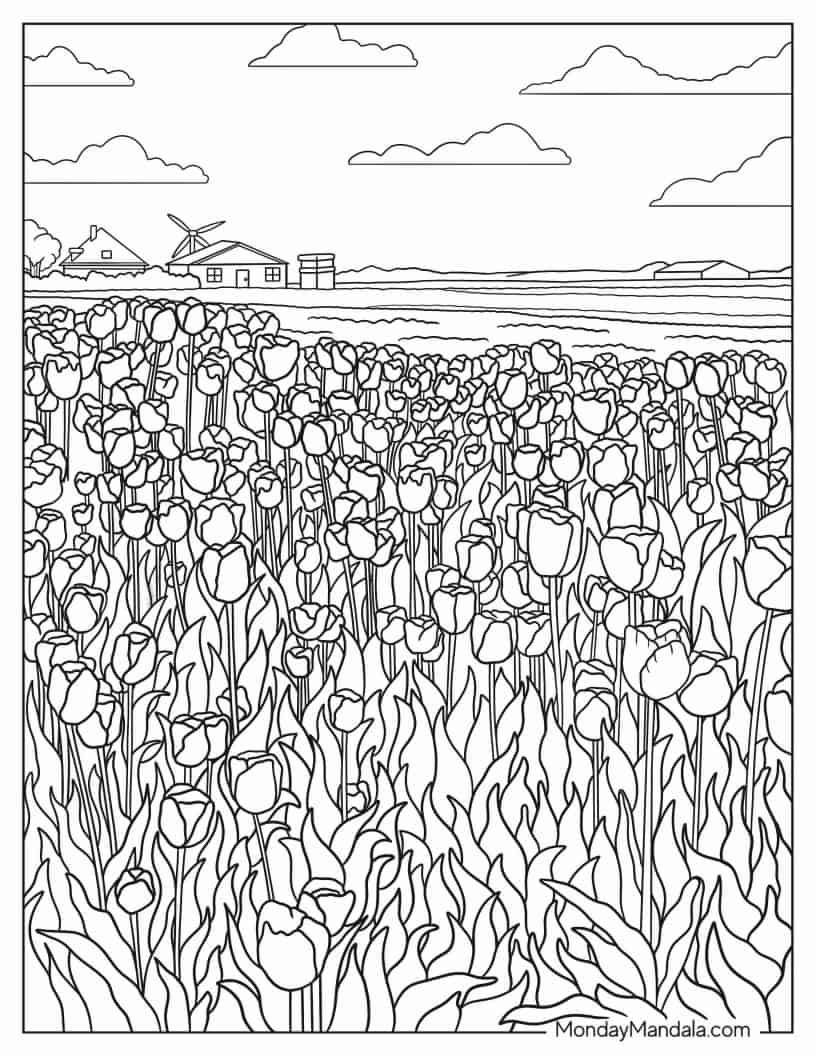 18 Tulip Coloring Pages (Free PDF Printables)