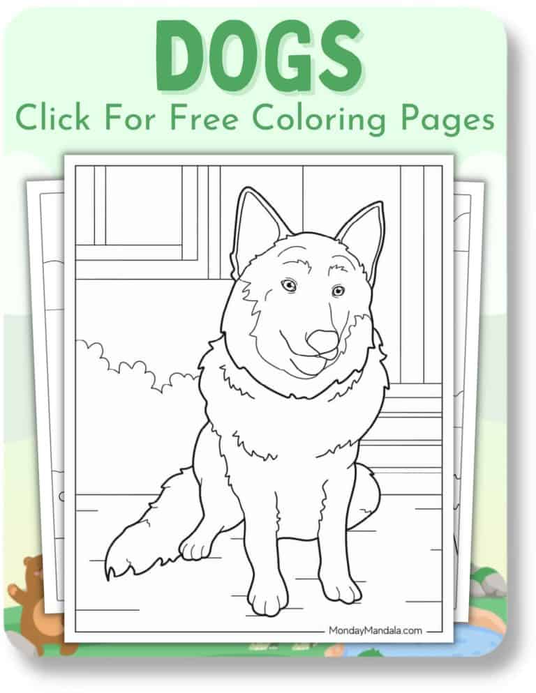2,000 Animal Coloring Pages (Free PDF Printables)