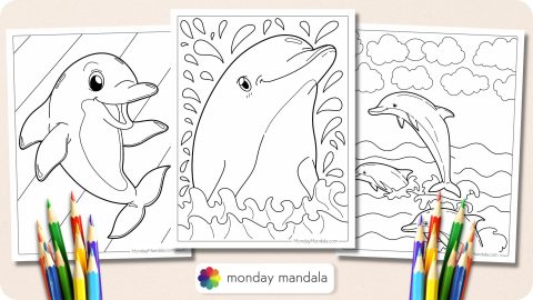 34 Dolphin Coloring Pages (Free PDF Printables)