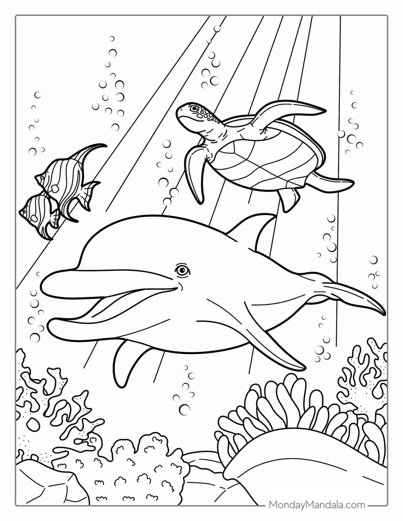 34 Dolphin Coloring Pages (Free PDF Printables)