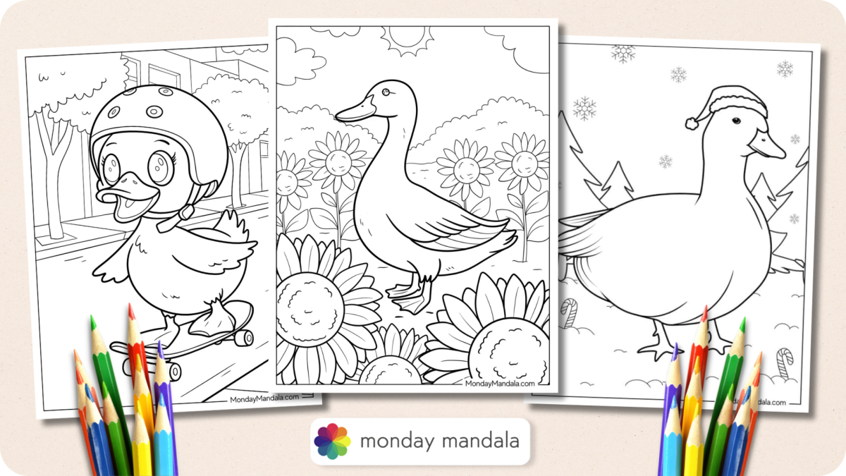 46 Cute Duck Coloring Pages (Free PDF Printables)