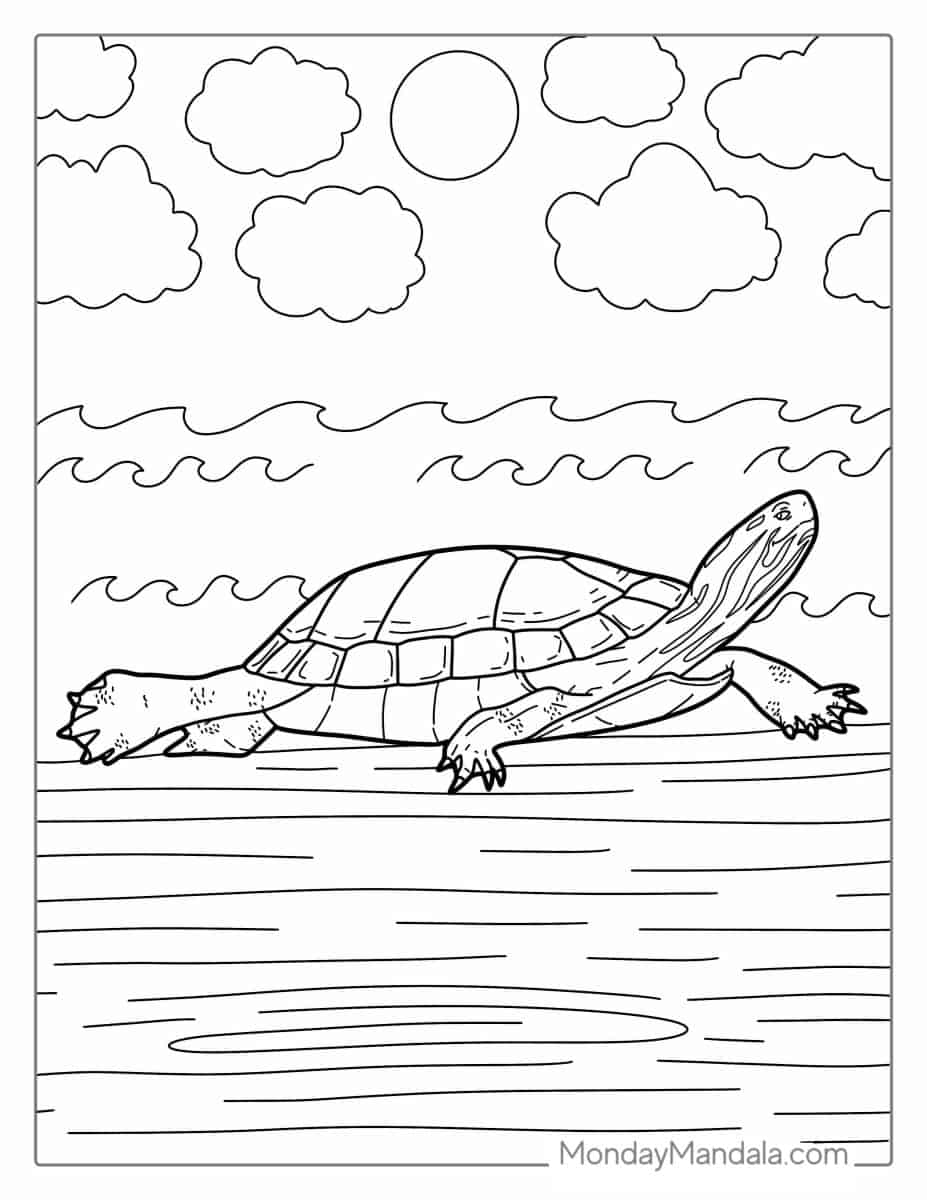 39 Turtle Coloring Pages (Free PDF Printables)