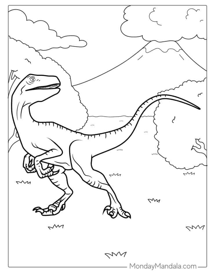 Raptor Velociraptor Dinosaurio Dinosaurier Ausmalbild Dinosauri ...
