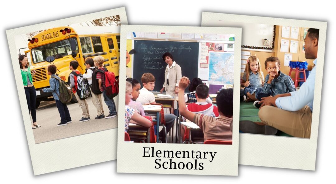 46 Types of Schools: With 21 You Likely Didn't Know Existed