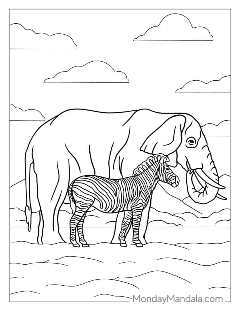 33 Zebra Coloring Pages (Free PDF Printables)