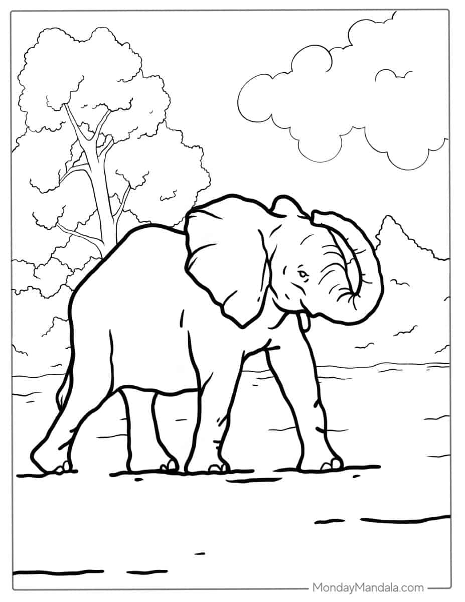 39 Elephant Coloring Pages (Free PDF Printables)