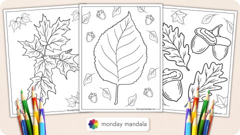 20 Fall Leaves Coloring Pages (Free PDF Printables)
