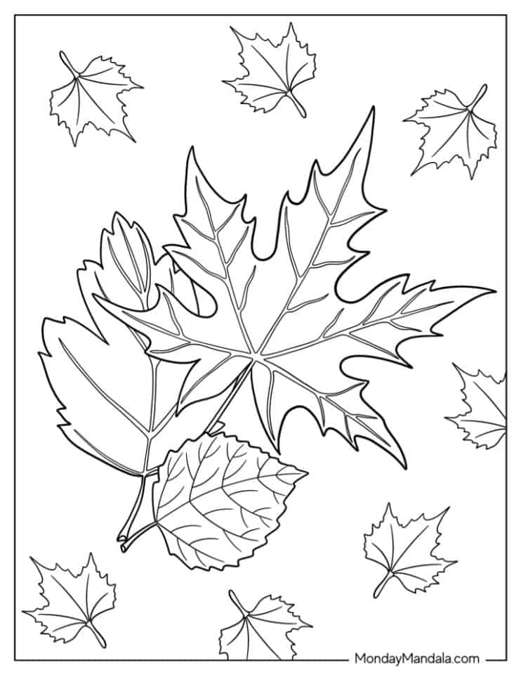 20 Fall Leaves Coloring Pages (Free PDF Printables)