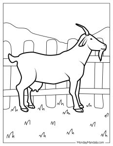 48 Farm Coloring Pages (Free PDF Printables)