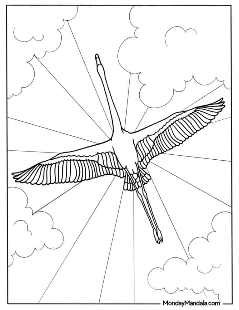 29 Flamingo Coloring Pages (Free PDF Printables)