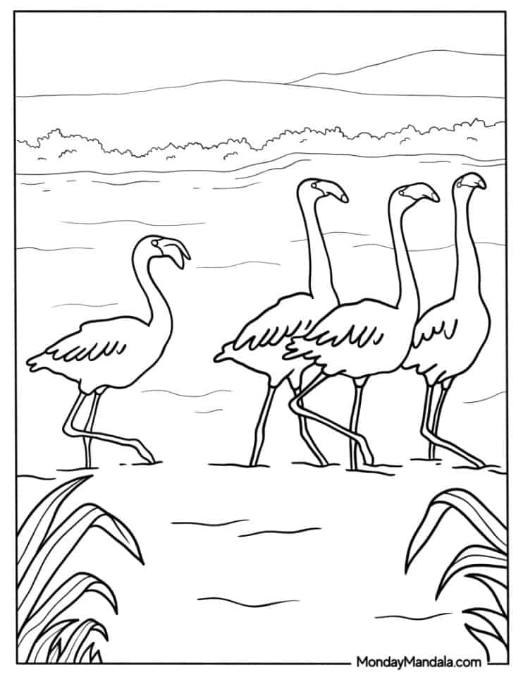 29 Flamingo Coloring Pages (Free PDF Printables)